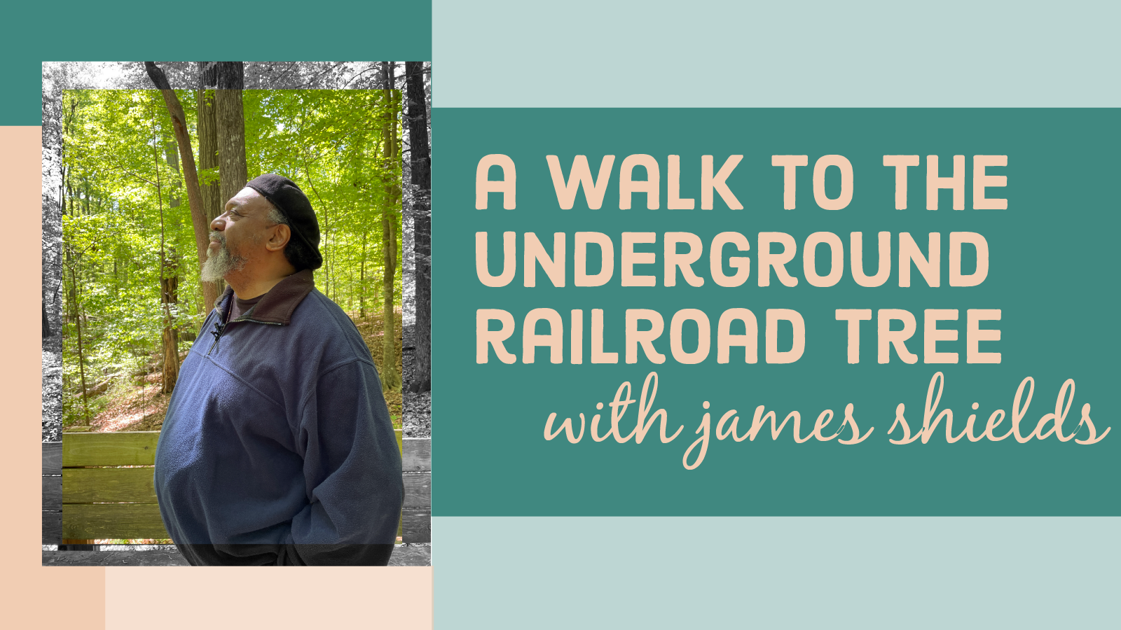 Quakers and Slavery: A Walk to the Underground Railroad Tree