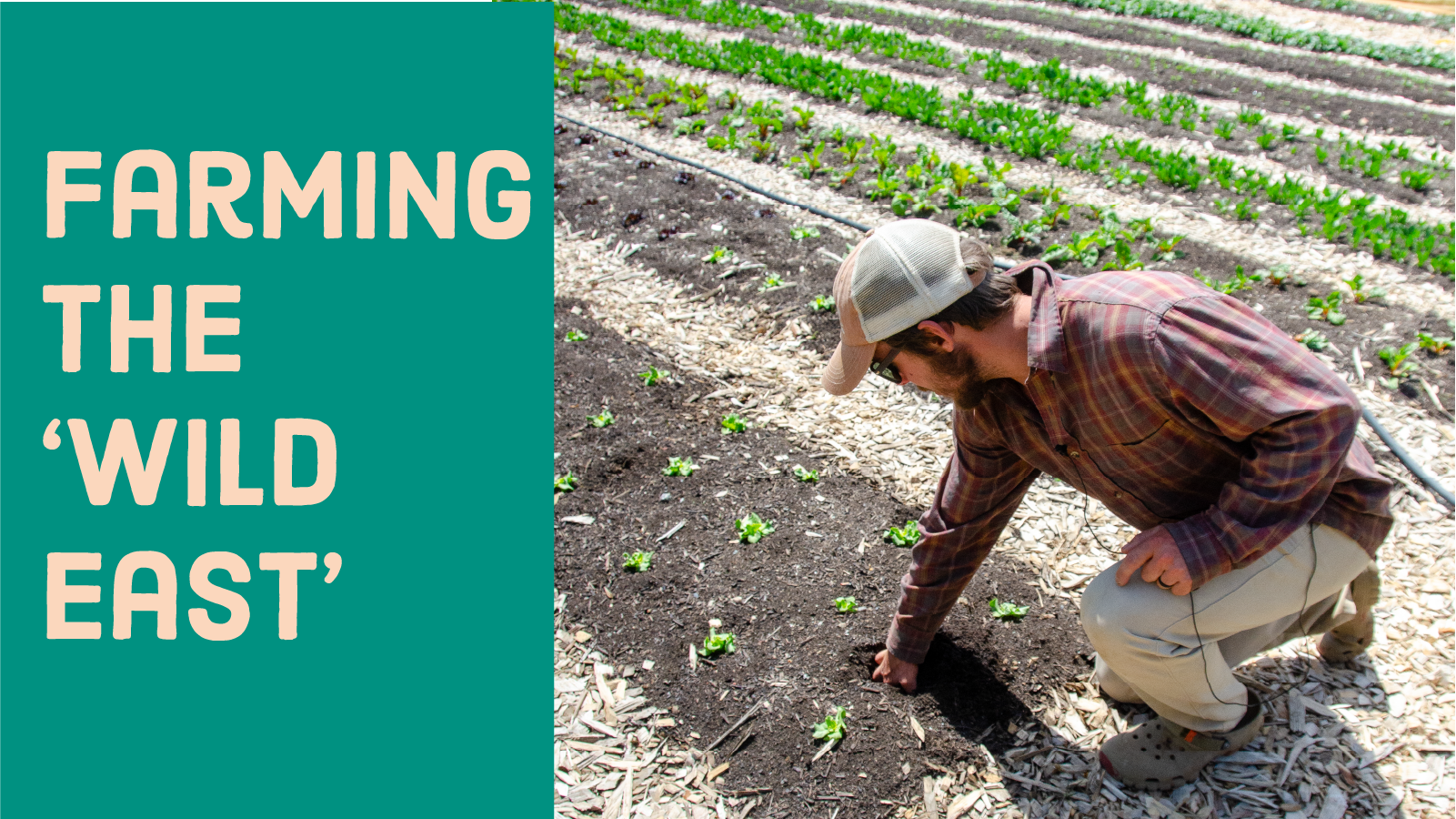 Farming the ‘Wild East’: A Friends school graduate finds a calling in ...